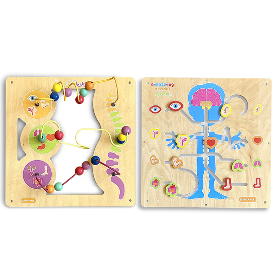 Dynamic Duo – chirocept