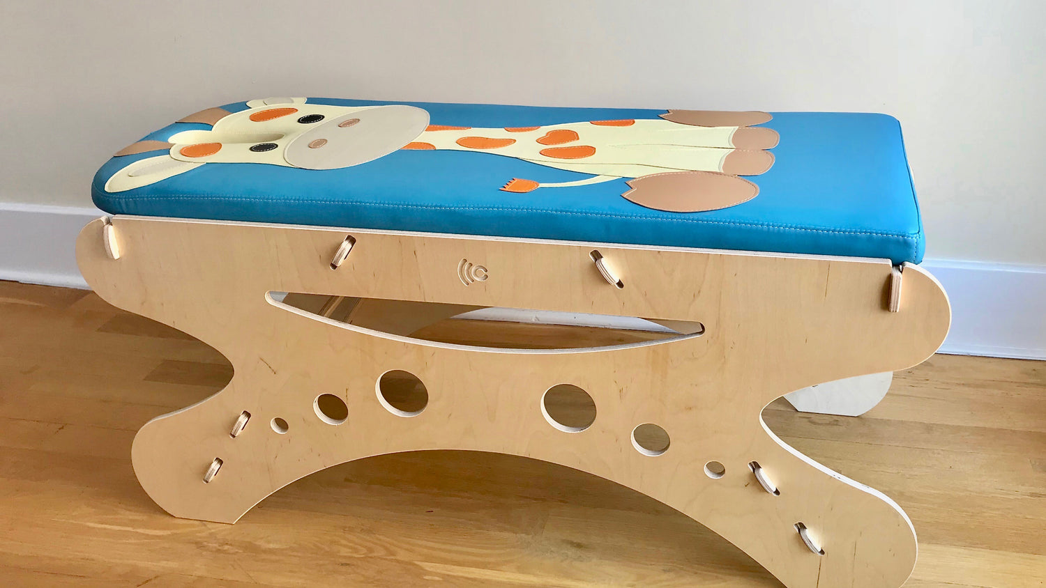 Chirocept: Leading Pediatric Chiropractic Tables & Educational Toys ...
